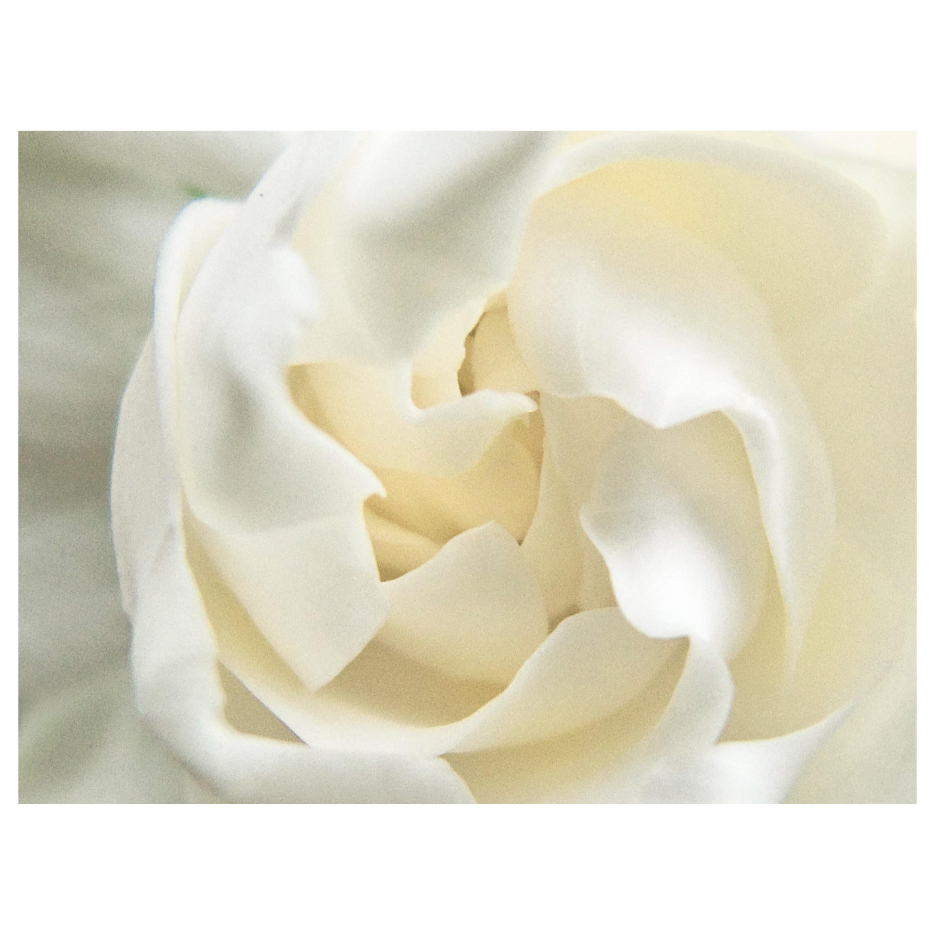 Signed Sally Mann Photo at 1stDibs