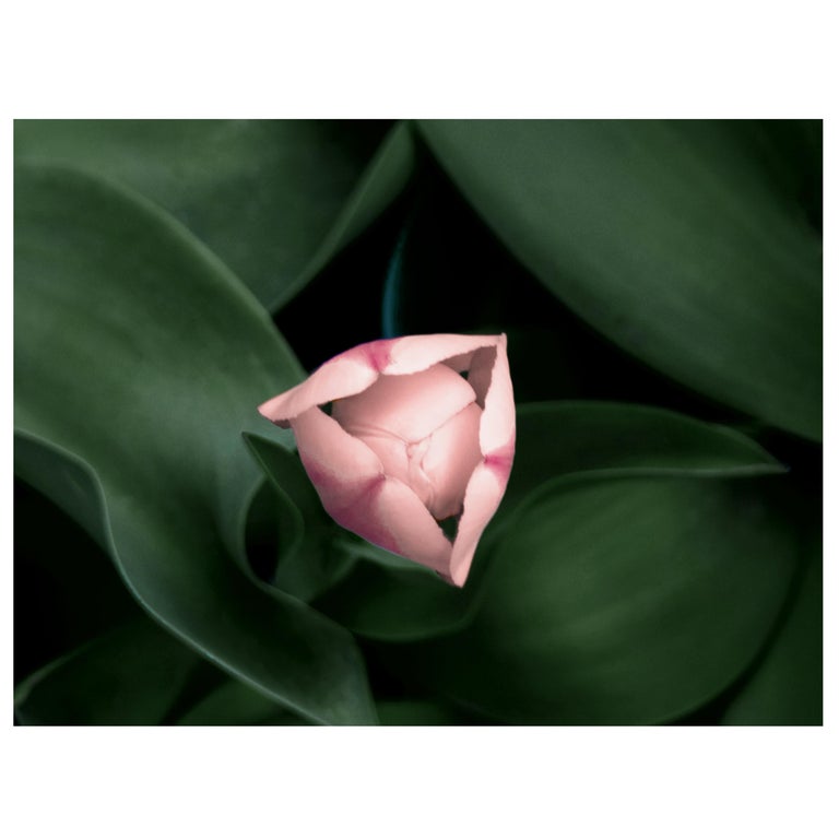 Marc Miller Original Signed Archival Photographic Print For Sale at 1stDibs