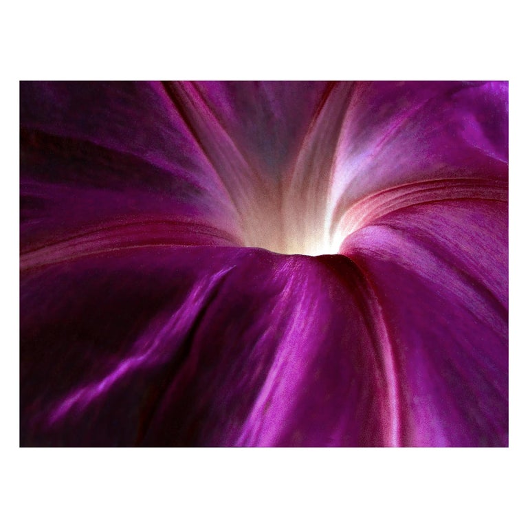 Marc Miller Original Signed Archival Photographic Print For Sale at 1stDibs