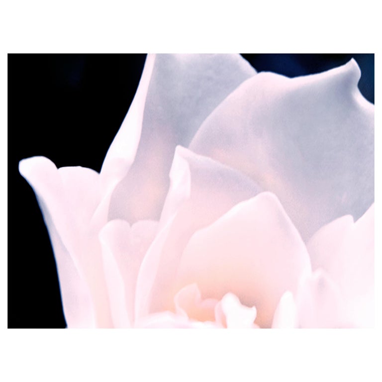 Original signierter Archivfotodruck von Marc Miller