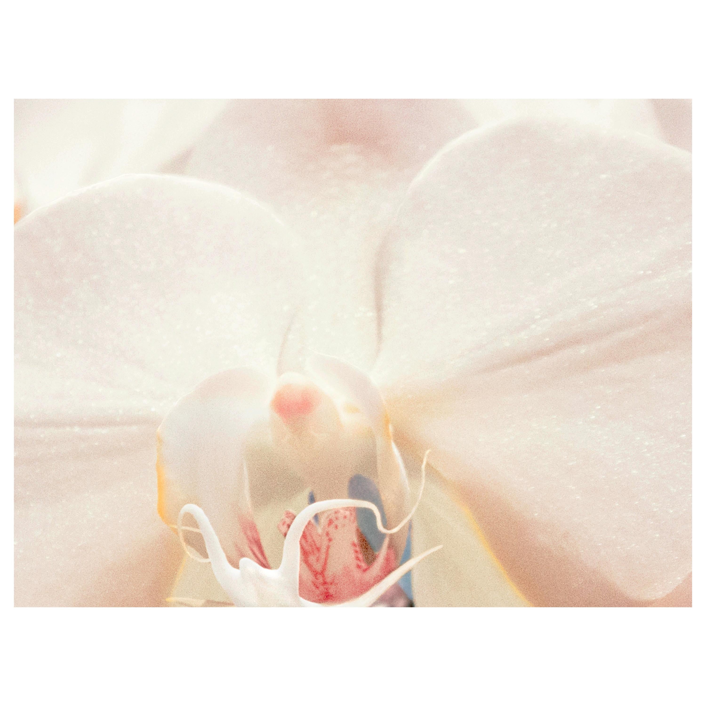 Cleopatra by Marc LaGrange For Sale at 1stDibs