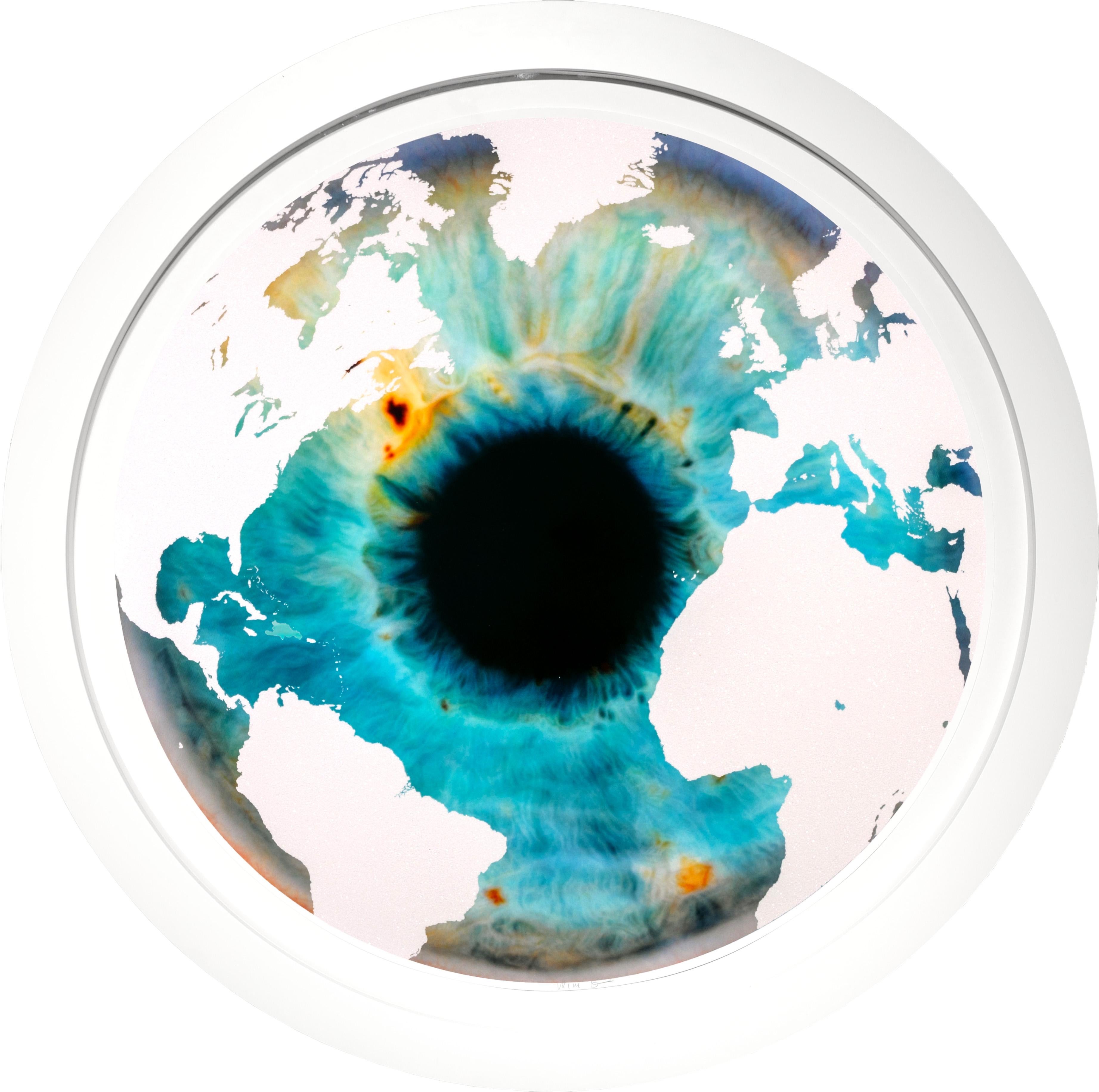 Marc Quinn - Archival Screen Print with Silver Leaf, 'Raw Earth' Iris ...