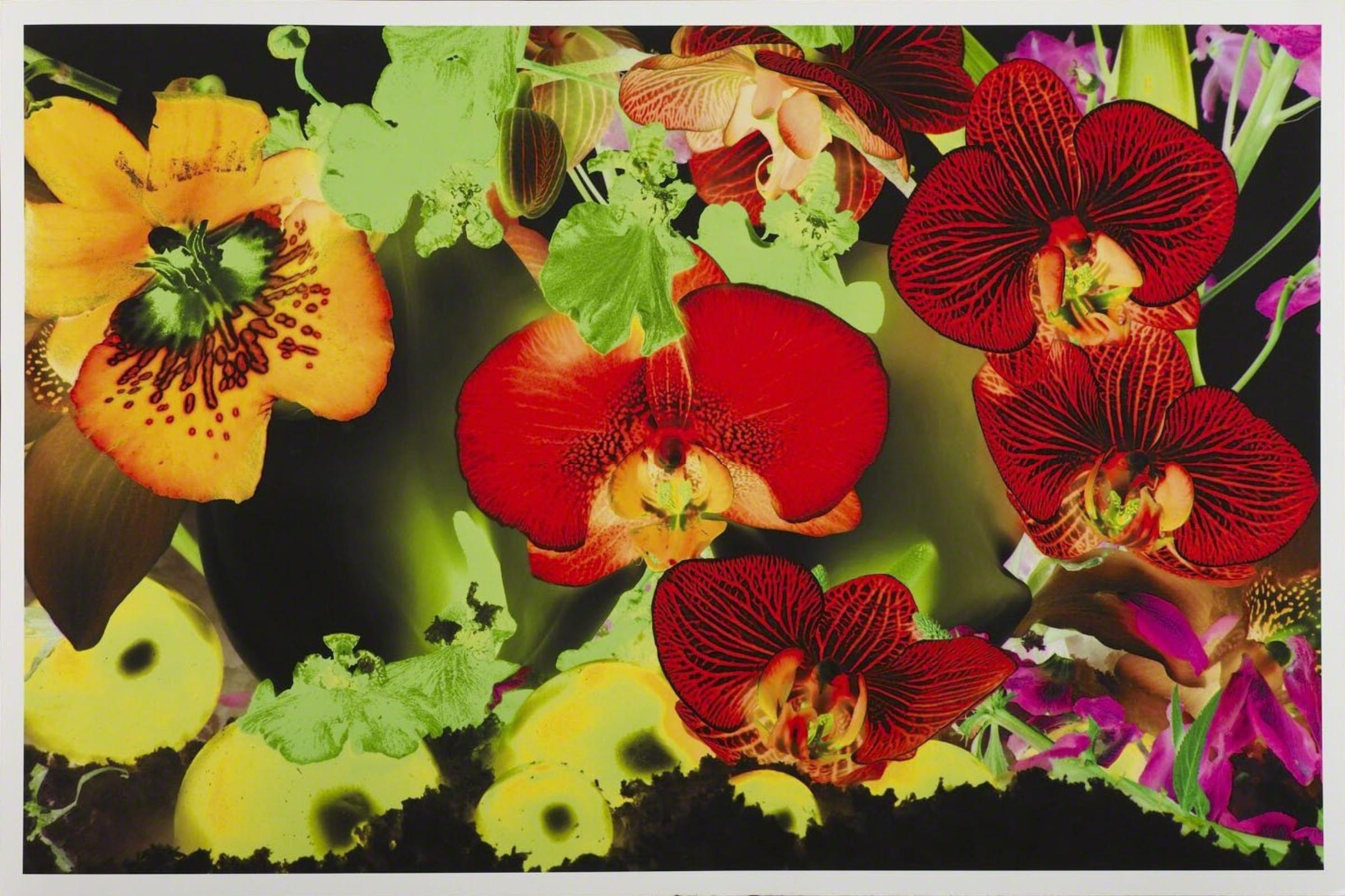 Marc Quinn - At the Far Edges of the Universe V For Sale at 1stDibs