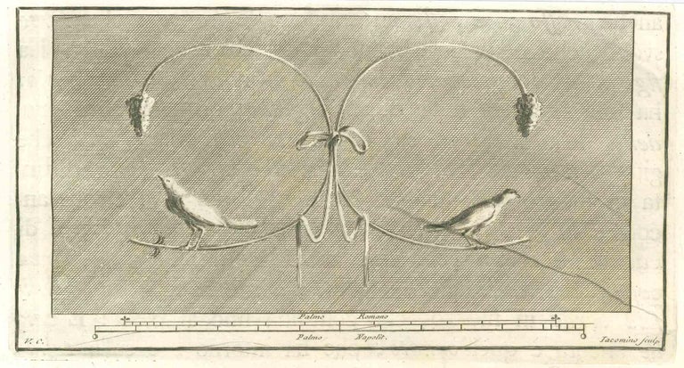 Marcant Iacomino - Birds Pompeian Fresco - Etching by Marcantonio ...