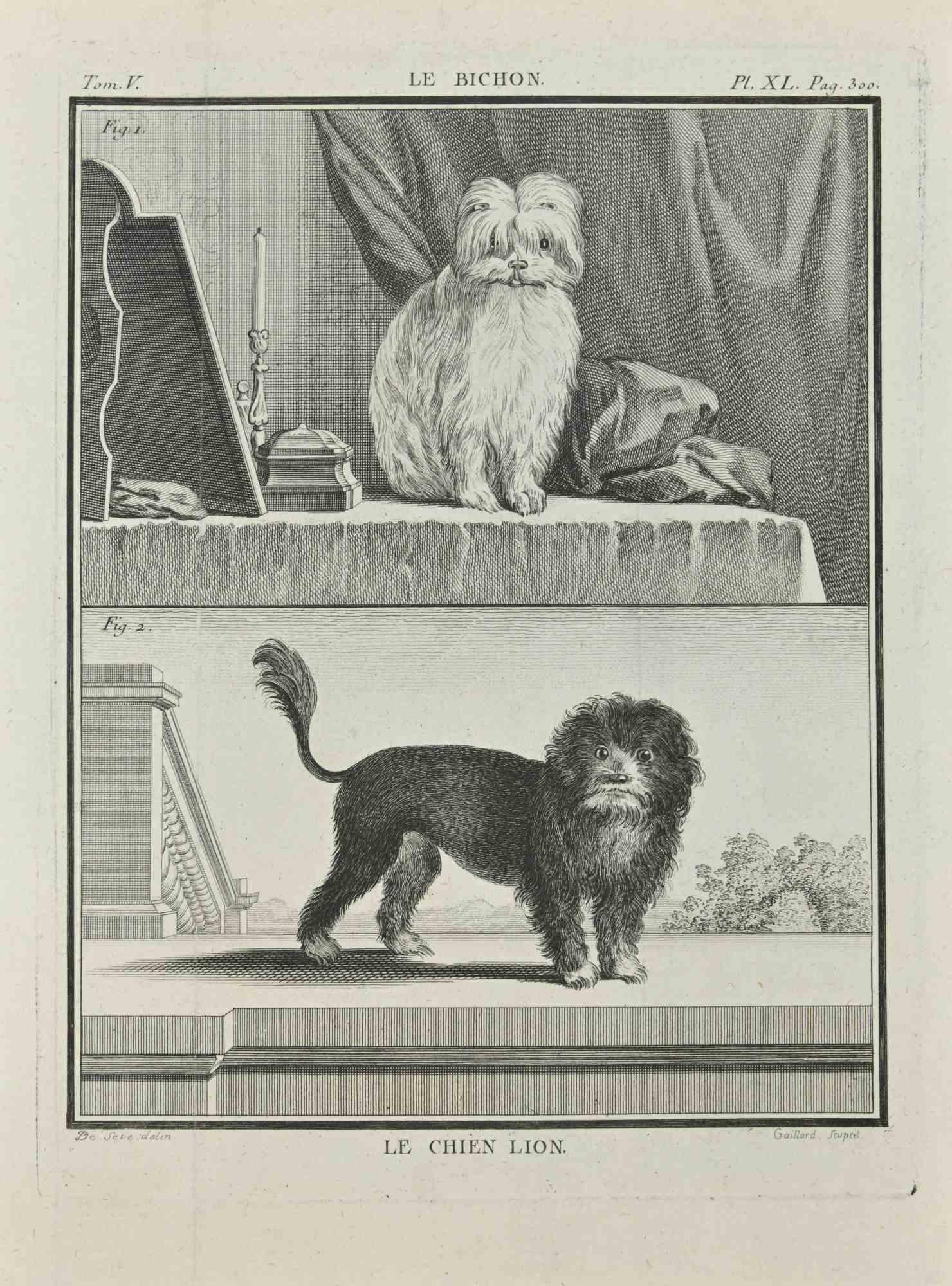 Marcel Gaillard - Le Chien Lion - Etching by Marcel Gaillard - 1771 at ...