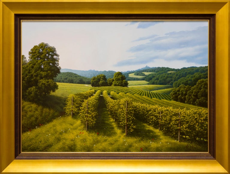 Marco Di Nieri - Vigneti a Santo Stefano Belbo For Sale at 1stDibs