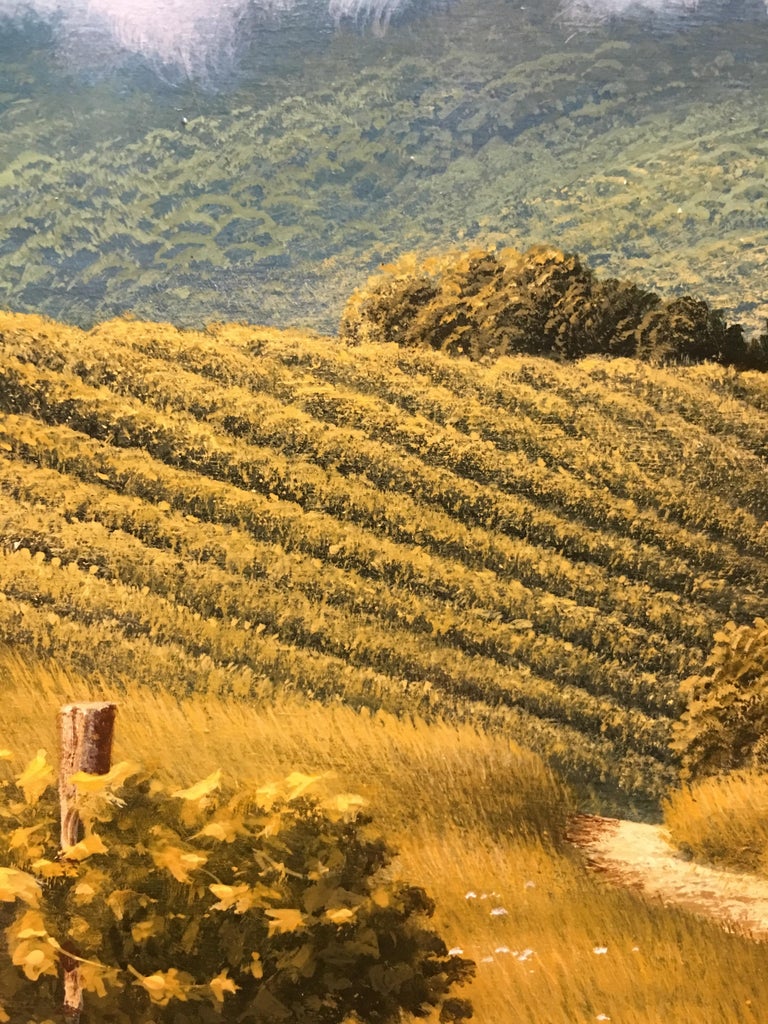 Marco Di Nieri - "Vigneti in Langhe" by Italian Artist Marco Di Nieri ...