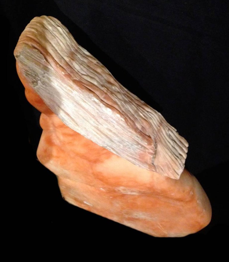 Marcus Lyons - Mother and Child; Marcus Lyons (American 1949 ...