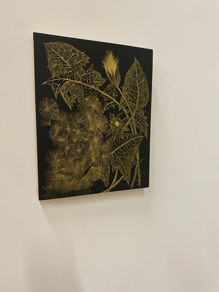 Margot Glass - Dandelion Two, Botanical Painting, Black Panel, Gold ...