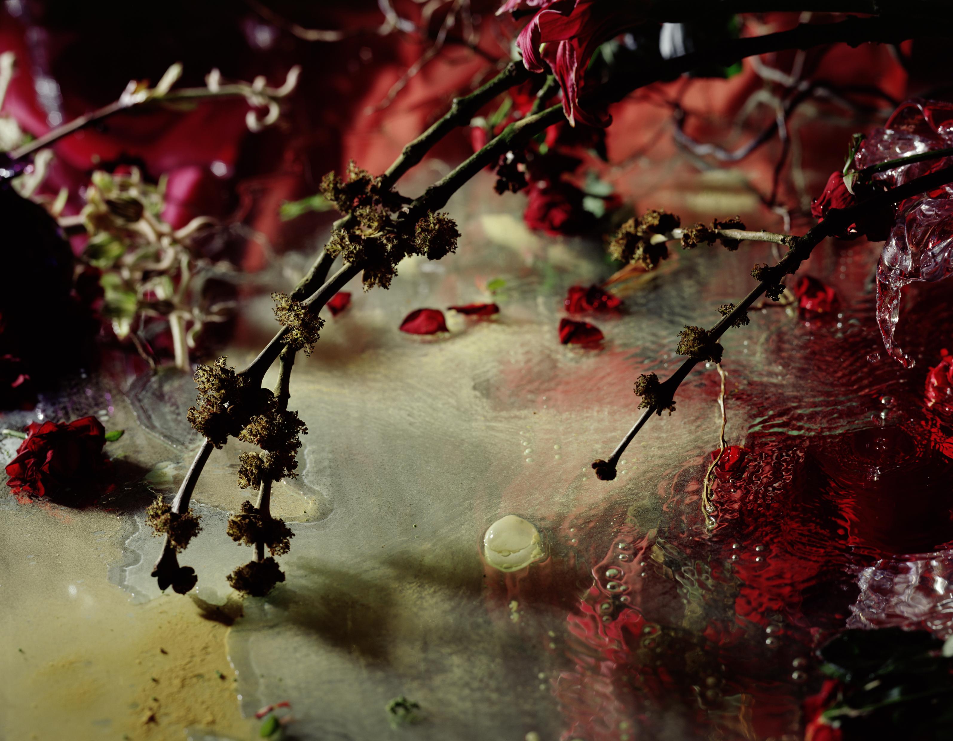 Margriet Smulders - Velvet Veil I For Sale at 1stDibs | velvet vail ...