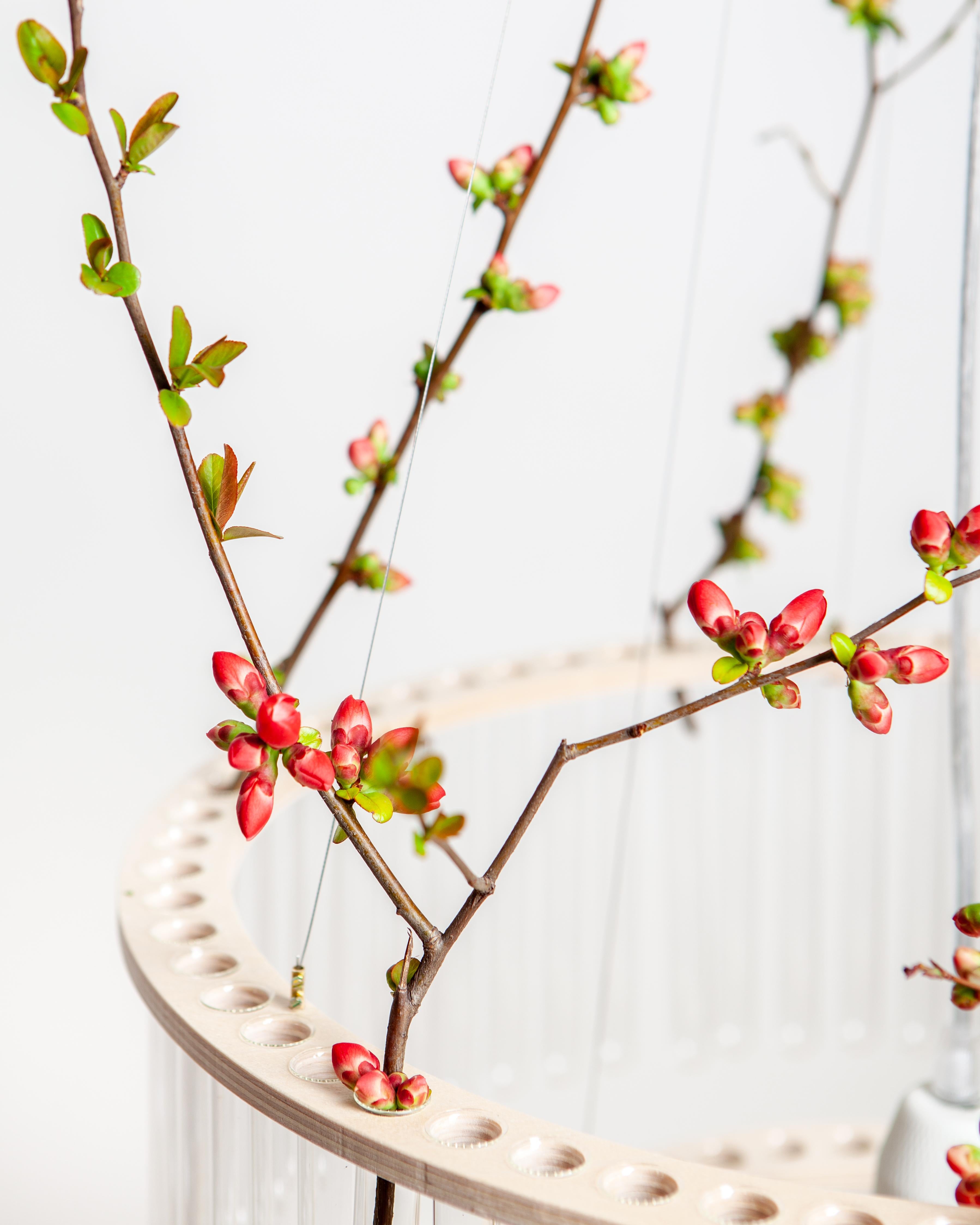 Maria SC Double Test Tubes Chandelier For Sale at 1stDibs | chandelier ...