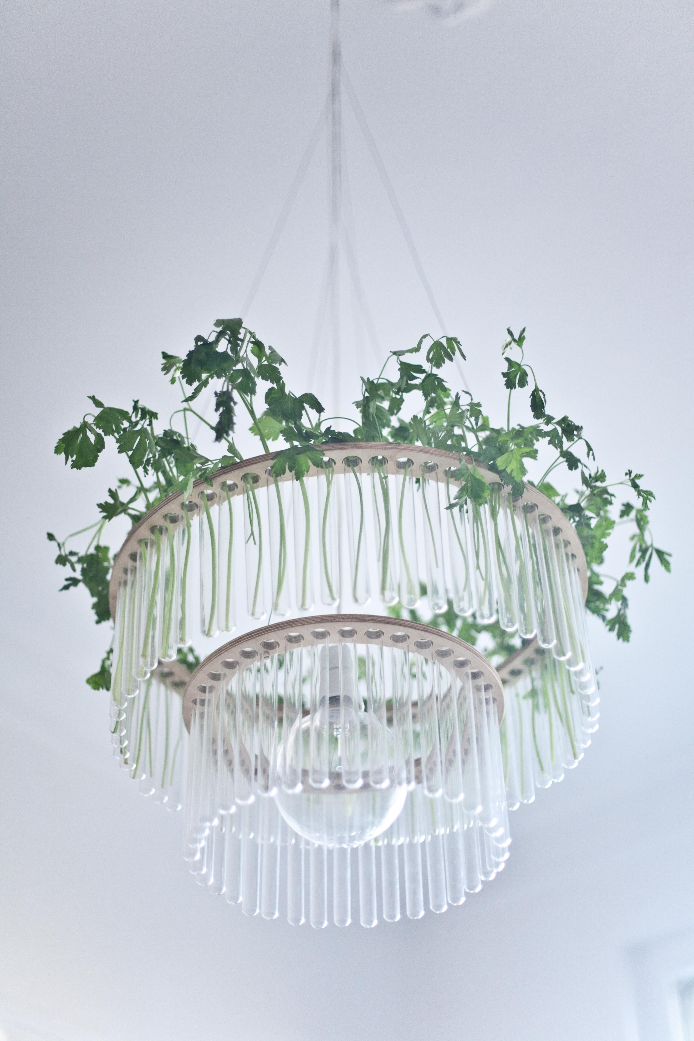 Maria SC Double Test Tubes Chandelier For Sale at 1stDibs | chandelier ...