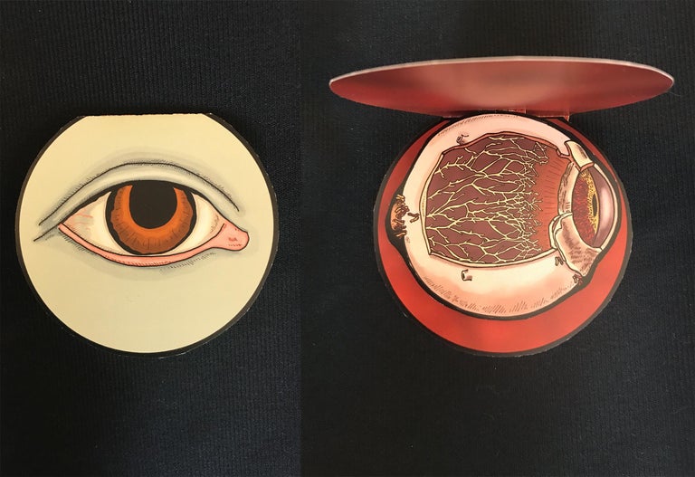 Marianne R. Petit - ""The Anatomical Series - Box 1 Eye, Head, Hand ...