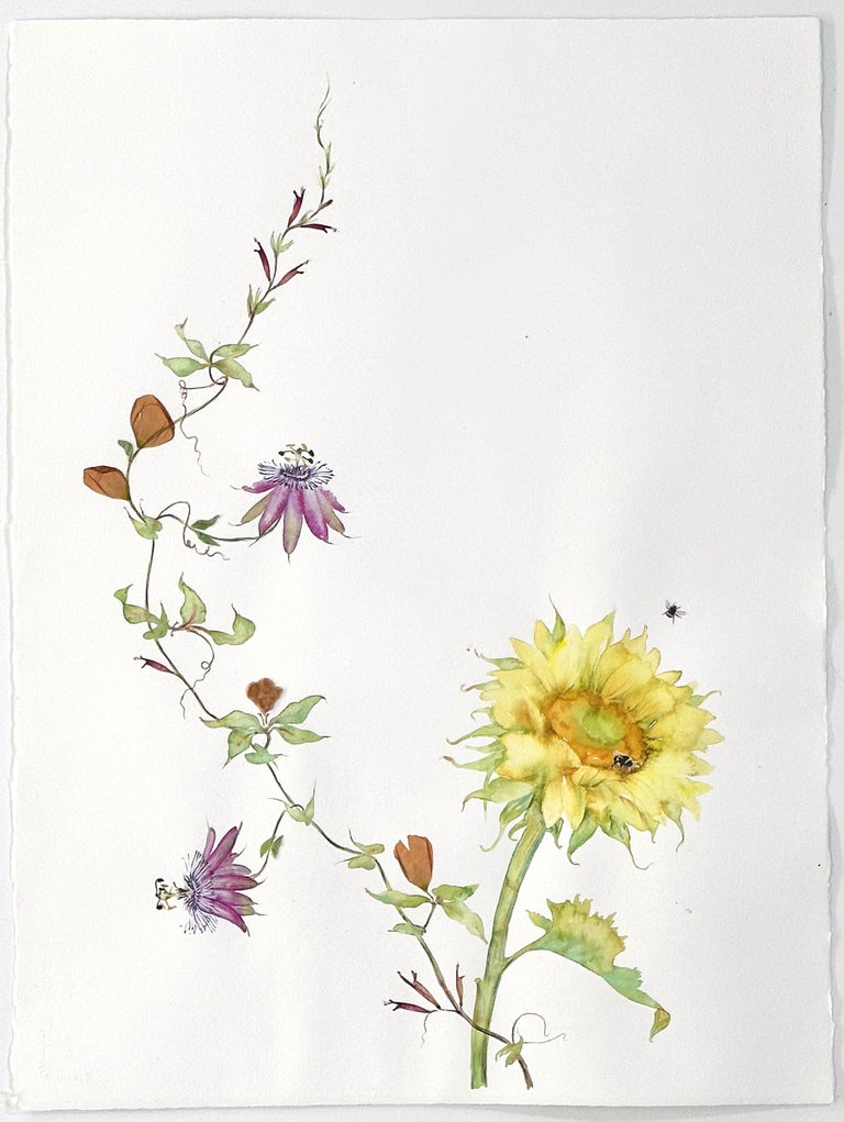 Marilla Palmer - Marilla Palmer "Facing the Sun" Pressed Flowers and ...