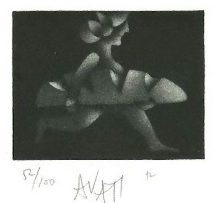 Mario Avati - Pigeon - Original Etching on Paper by Mario Avati - 20th ...