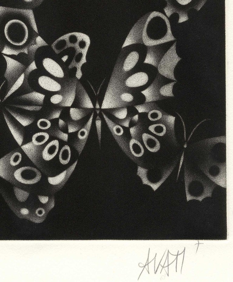 Mario Avati - Papillons (butterflies) at 1stDibs