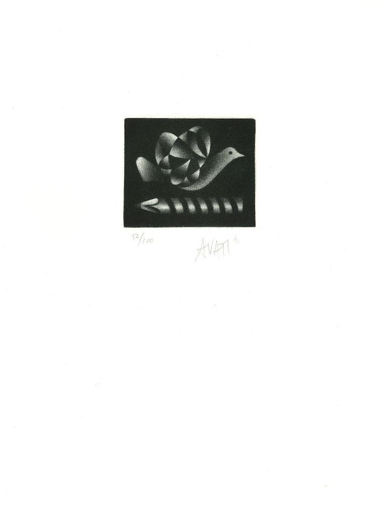 Mario Avati - Pigeon - Original Etching on Paper by Mario Avati - 20th ...