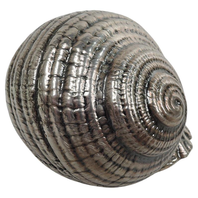 Partially Silvered Sea Shell Lister's Conch at 1stDibs