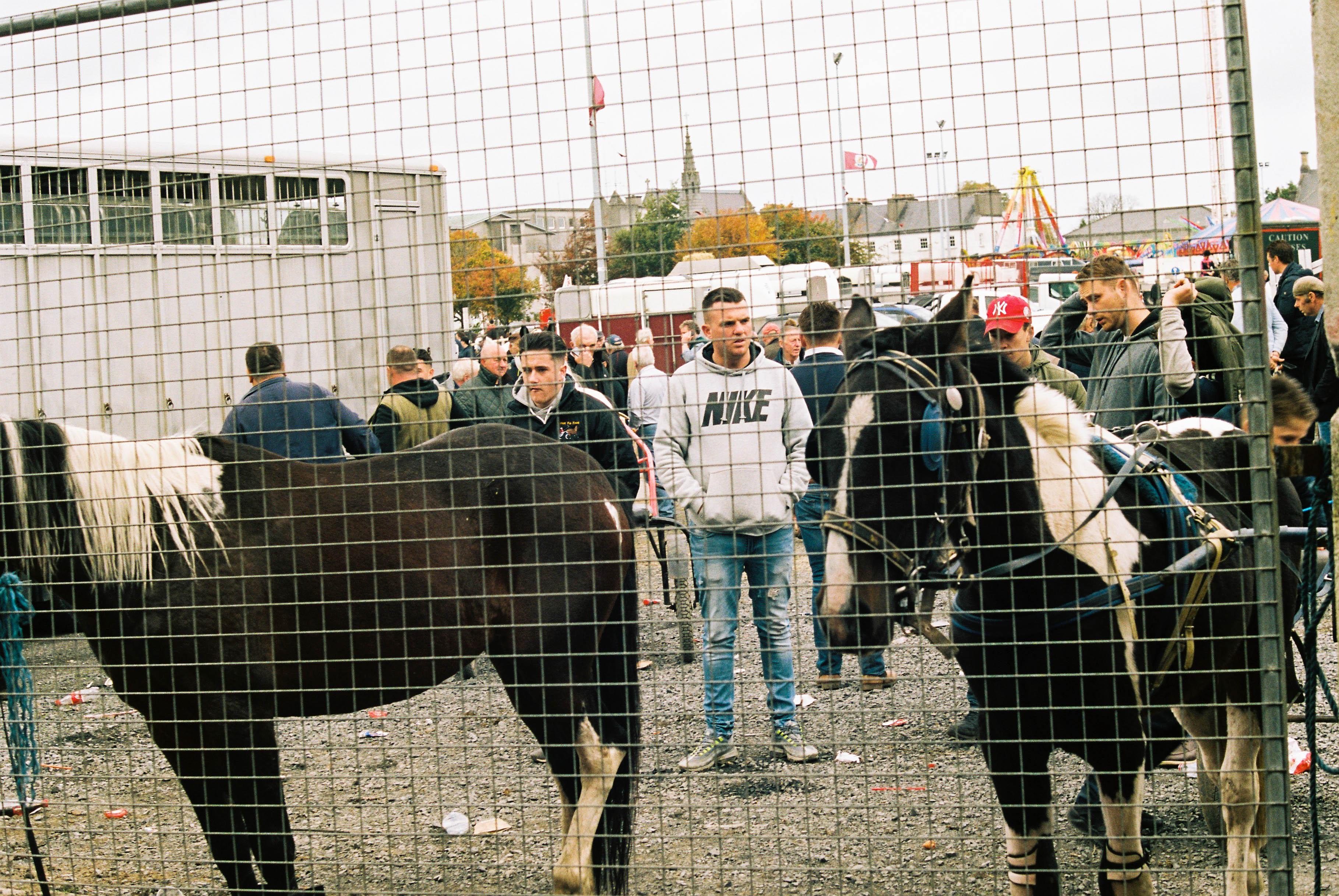 Marion Bergin - Horses - Ballinasloe Horse Fair, Ireland, 2018 For Sale ...