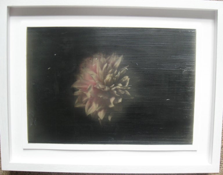 Mark Karasick - 'Flower Bloom, Shift'. oil paint, encaustic wax on ...