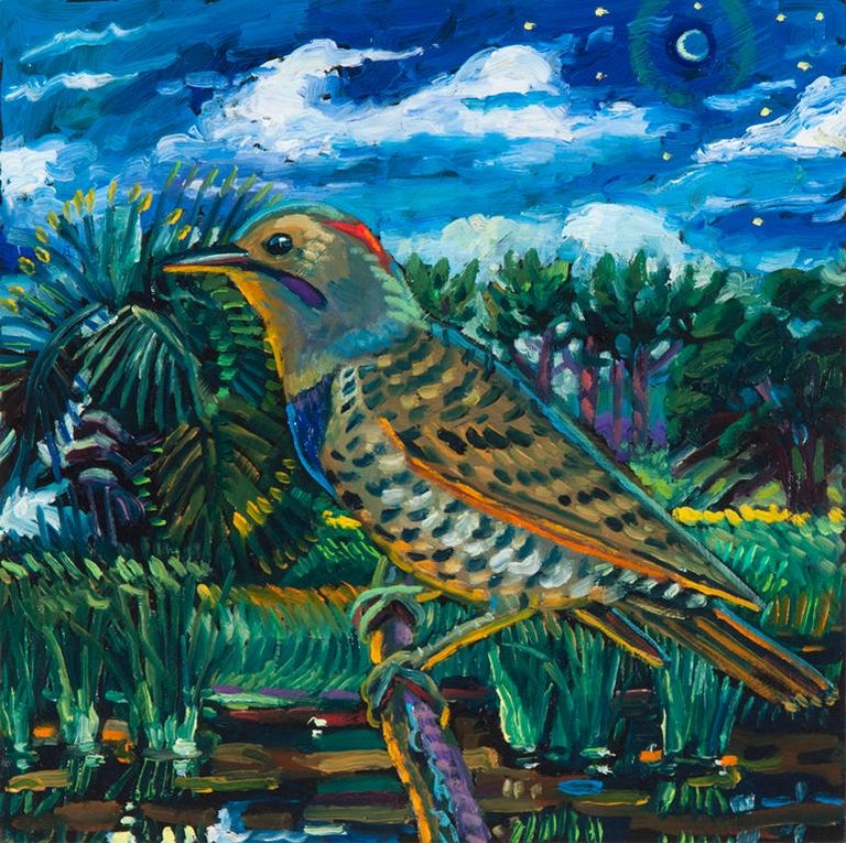 Mark Messersmith - Northern Flicker at 1stDibs