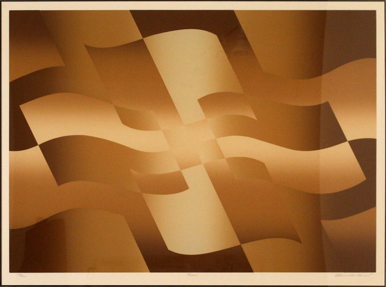 Mark Rowland Brown Op Art "Flags" Signed Lithograph Framed For Sale at ...