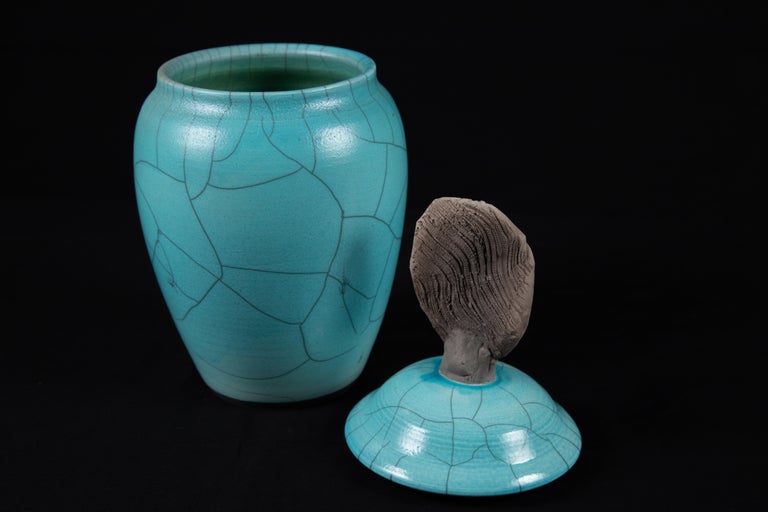 Mark Sherman - Abalone, Raku Ceramic Turquoise jar with lid, Western ...