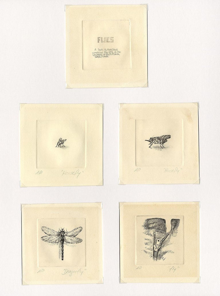 Mark Stock - Suite of Flies (Portfolio of etchings with a sense of ...