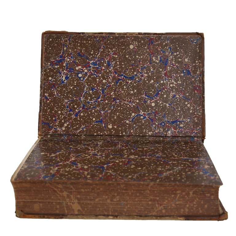 Mark Twain's Life on the Mississippi, 1883 For Sale at 1stDibs