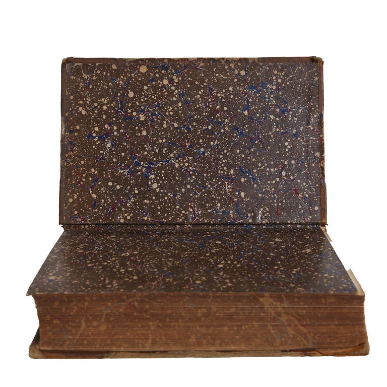 Mark Twain's Life on the Mississippi, 1883 For Sale at 1stDibs