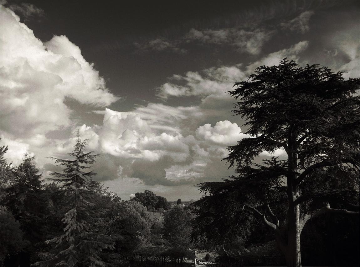 Toni Frissell - Woman with Two Dachshunds at 1stDibs