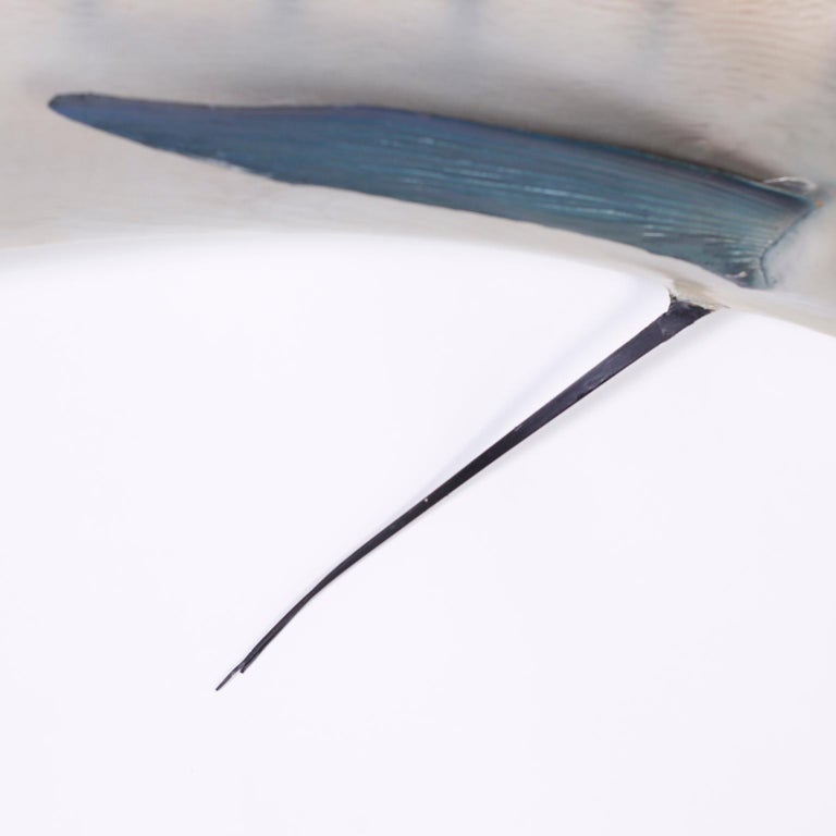 Marlin Skin Mount Taxidermy Fish at 1stDibs