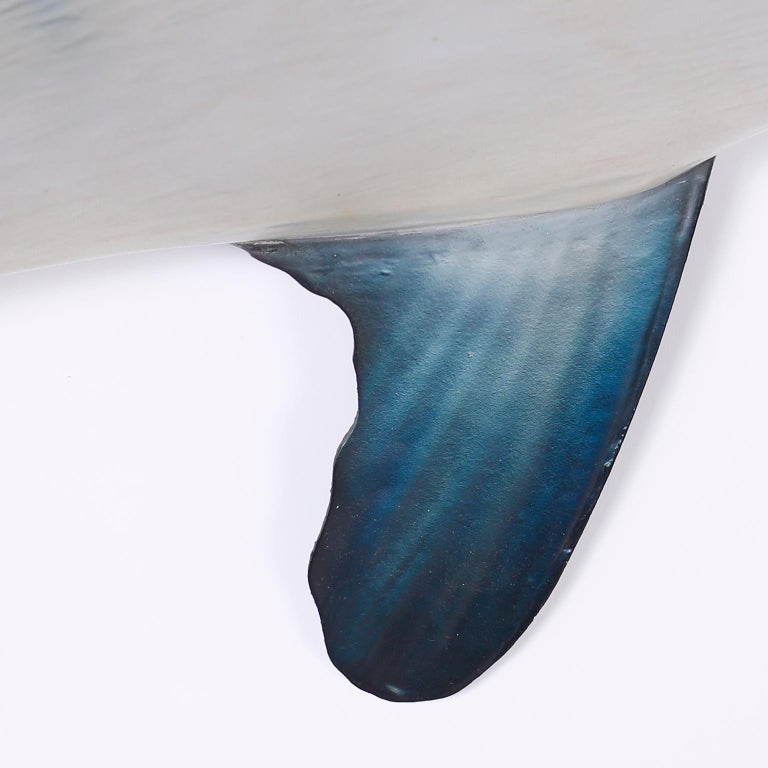 Marlin Skin Mount Taxidermy Fish at 1stDibs