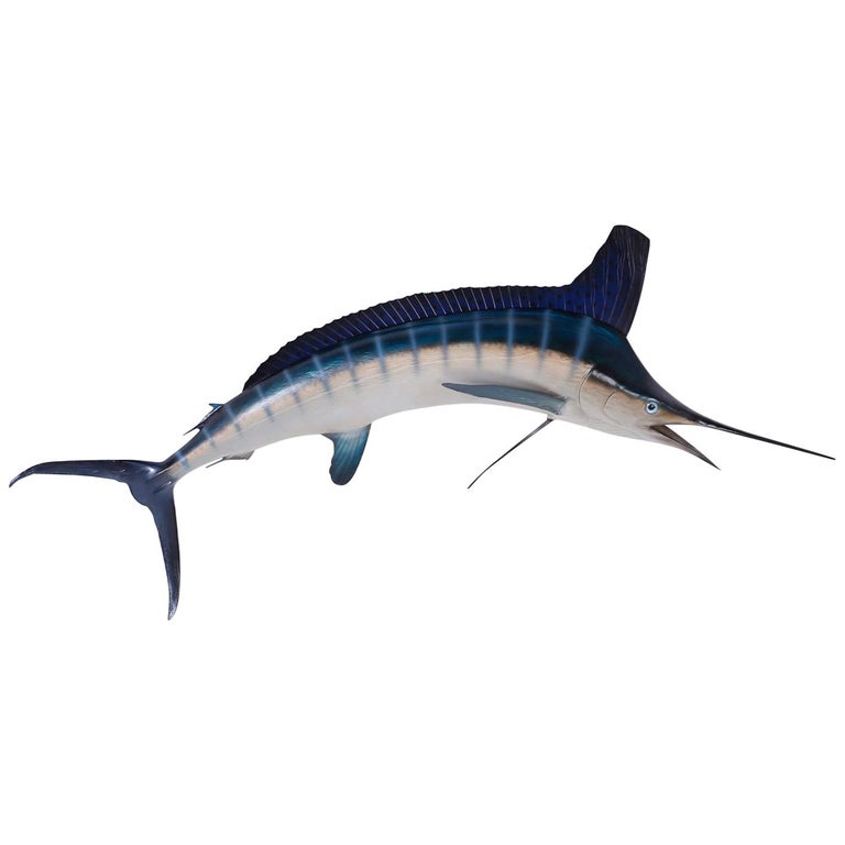 Marlin Skin Mount Taxidermy Fish at 1stDibs