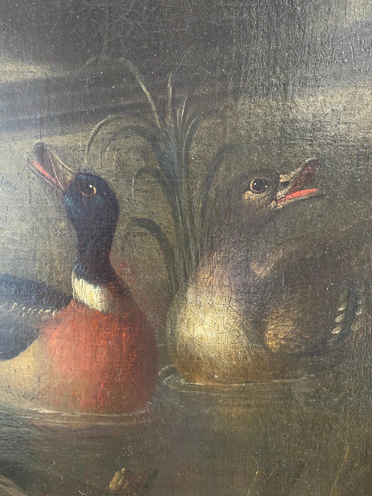 18th century painting of pheasants, ducks, hens and other birds in a ...