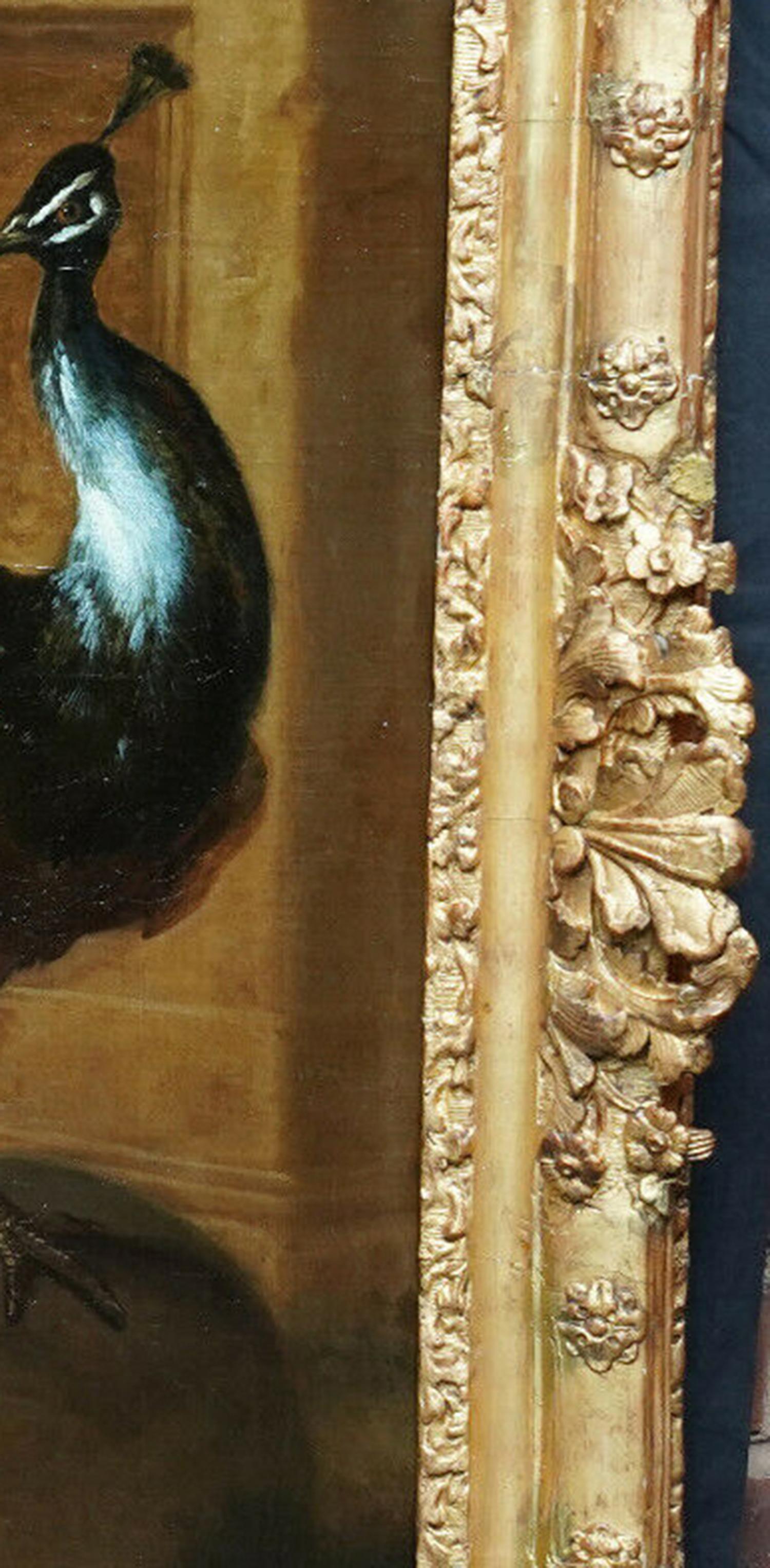 Peacock and Birds in a Landscape - British 17thC Old Master animal oil ...