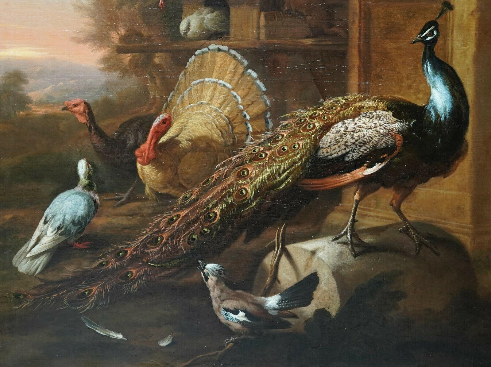 Peacock and Birds in a Landscape - British 17thC Old Master animal oil ...