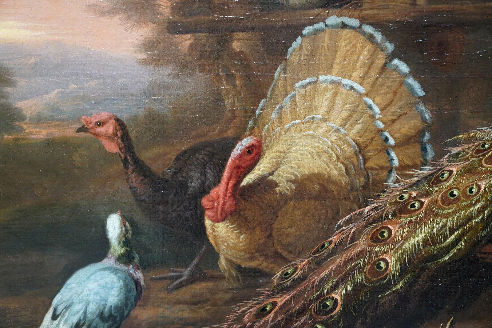 Peacock and Birds in a Landscape - British 17thC Old Master animal oil ...