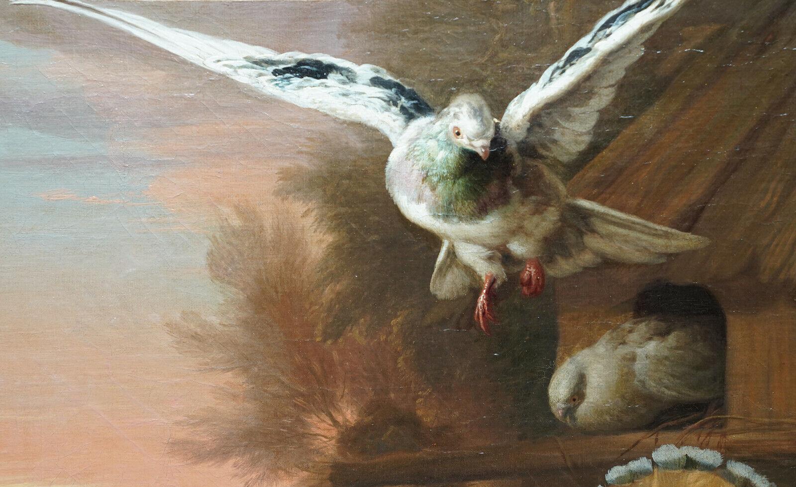 Peacock and Birds in a Landscape - British 17thC Old Master animal oil ...