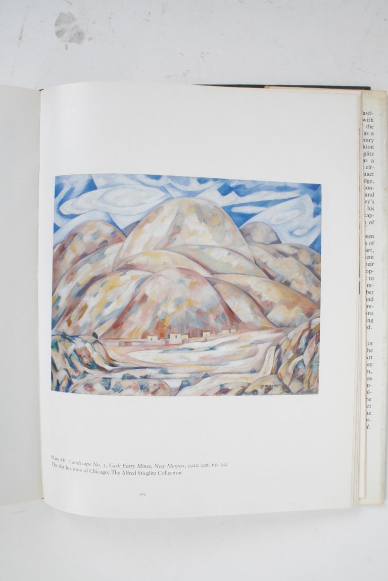 Marsden Hartley by Barbara Haskell, First Edition at 1stDibs