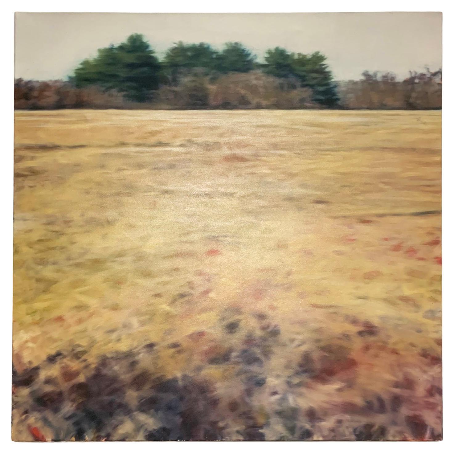 Martha's Vineyard West Tisbury Landscape Painting by Peter Roux at 1stDibs