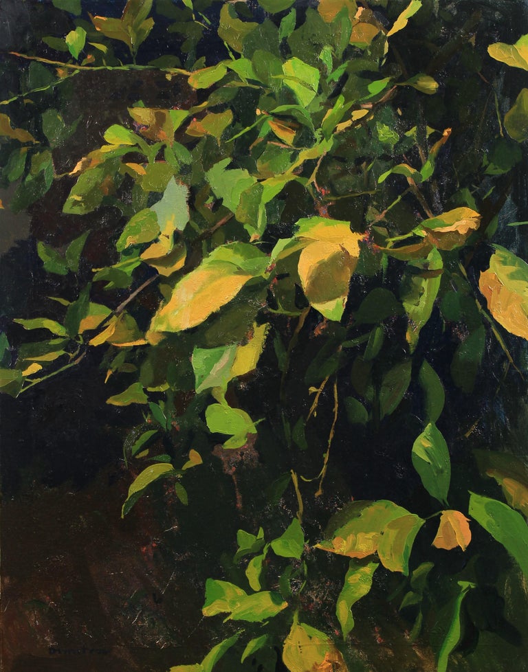 Martin Dimitrov - Lemon Leaves For Sale at 1stDibs