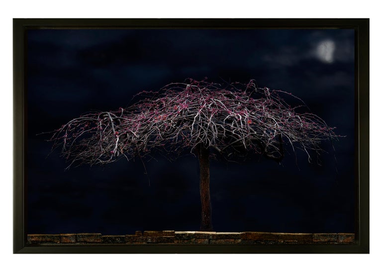 Mary Block - A Shy Moon in Spring, Large Scale Manipulated Color ...