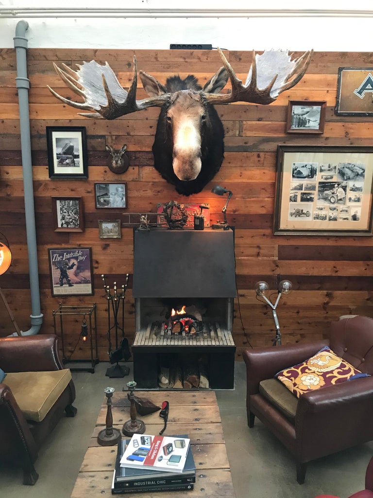 Massive and Impressive Hip Mounted Swedish Bull Elk with 30 Points at ...