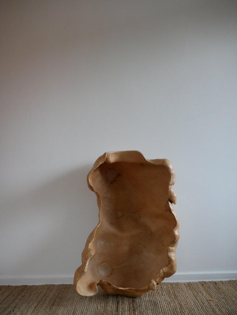 Massive Birch Burl Bowl For Sale at 1stDibs