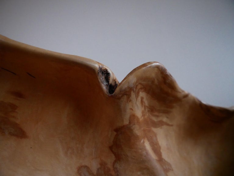 Massive Birch Burl Bowl For Sale at 1stDibs