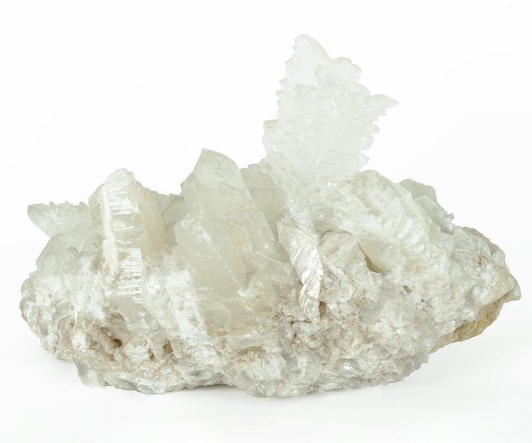 Massive Fish Tail Angel Wings Selenite Crystal For Sale at 1stDibs