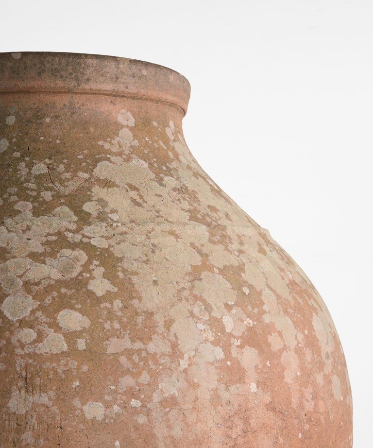 Massive Olive Oil Jar on Metal Stand, Italy, circa 1910 at 1stDibs