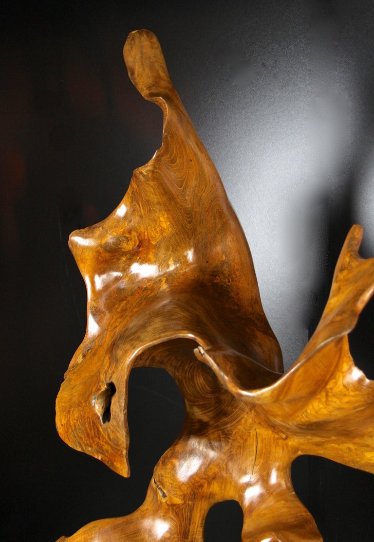 Massive Organic Mahogany Root Sculpture on Mat Black Metal Stand at 1stDibs