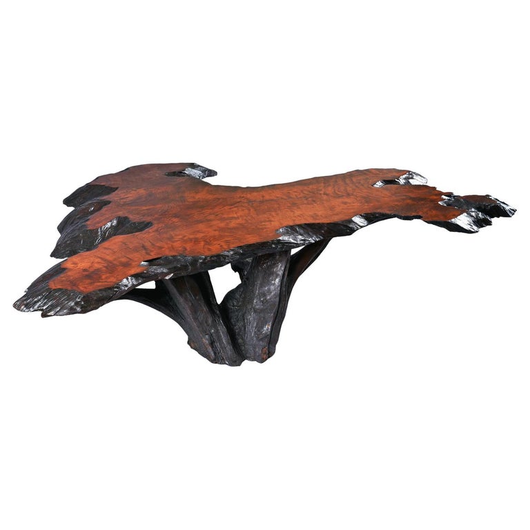 Massive Rustic Amorphic Live Edge Cypress Root Stump Slab Coffee Table ...
